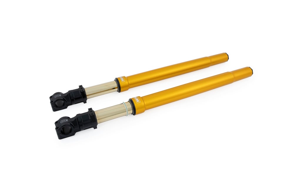 Front fork universal 50/54/800 gold